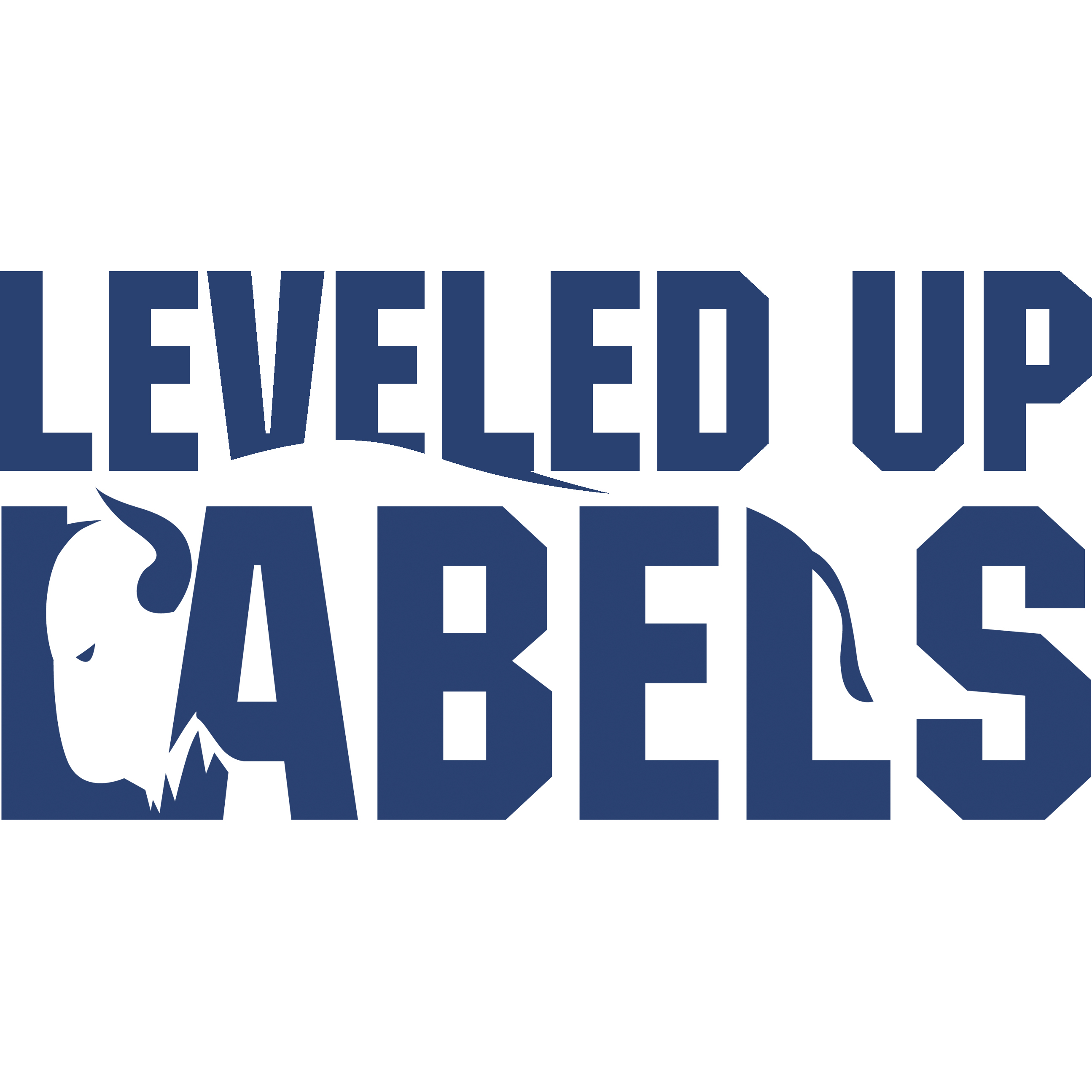 Custom Shop – Leveled Up Labels